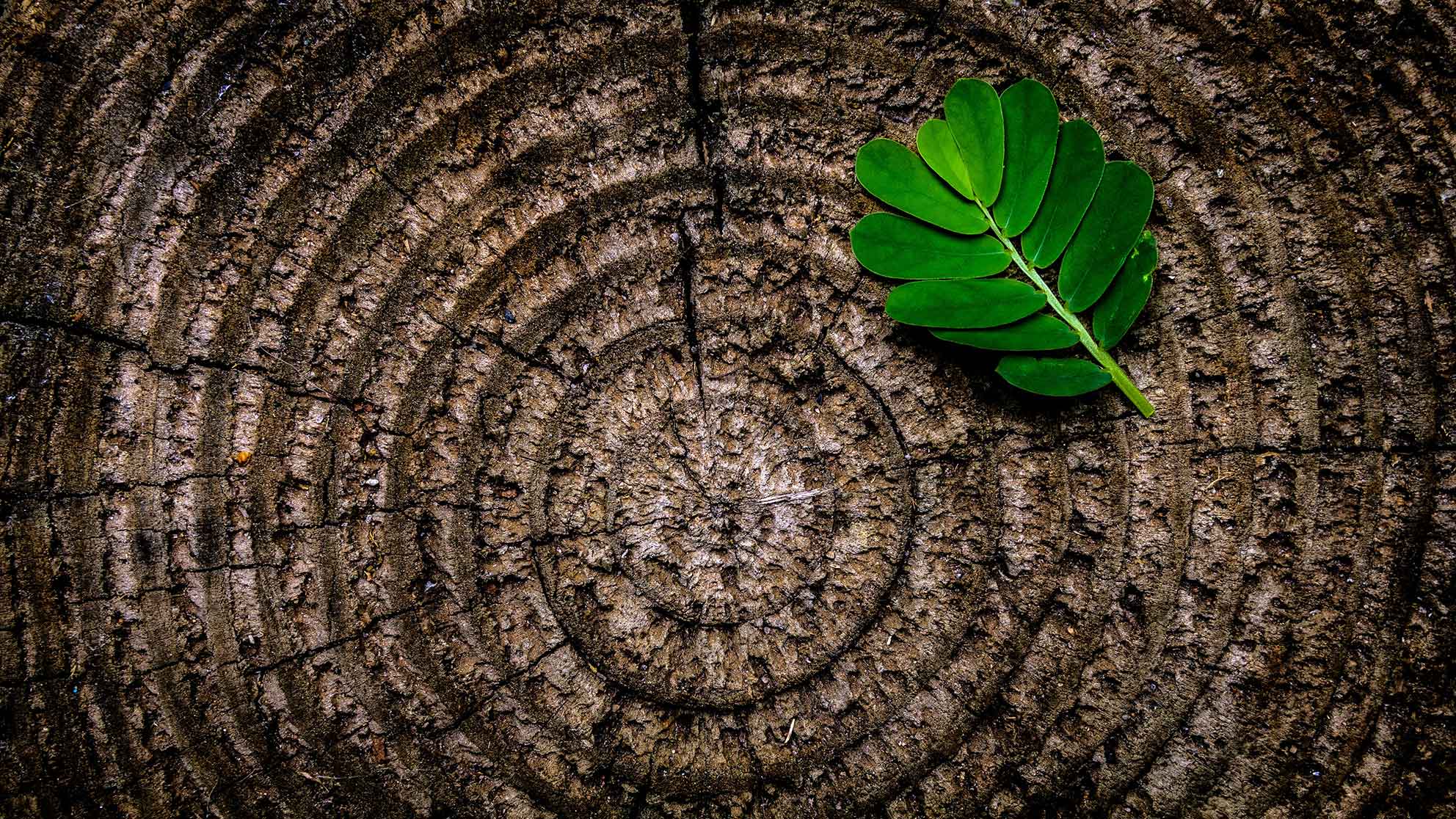 Waste Management & Recycling Blog | Durogreen